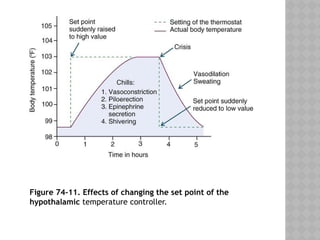 Body Temperature Regulation and Fever.pptx