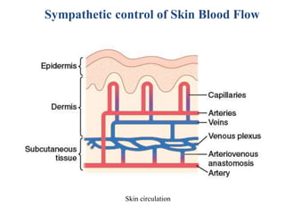 Body temperature regulation, and fever | PDF