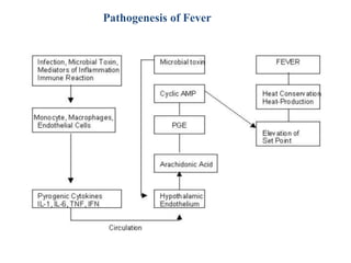 Body temperature regulation, and fever | PDF