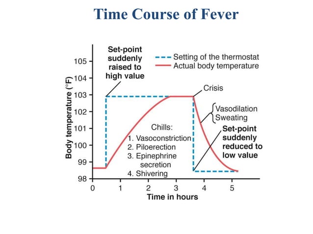 Body temperature regulation, and fever | PDF | Endocrine and Metabolic ...