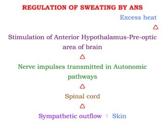 Body Temperature Regulation and Physiology | PPT