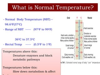 Body Temperature Regulation and Physiology | PPT