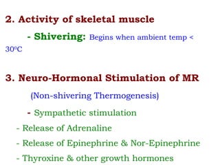 Body Temperature Regulation and Physiology | PPTX