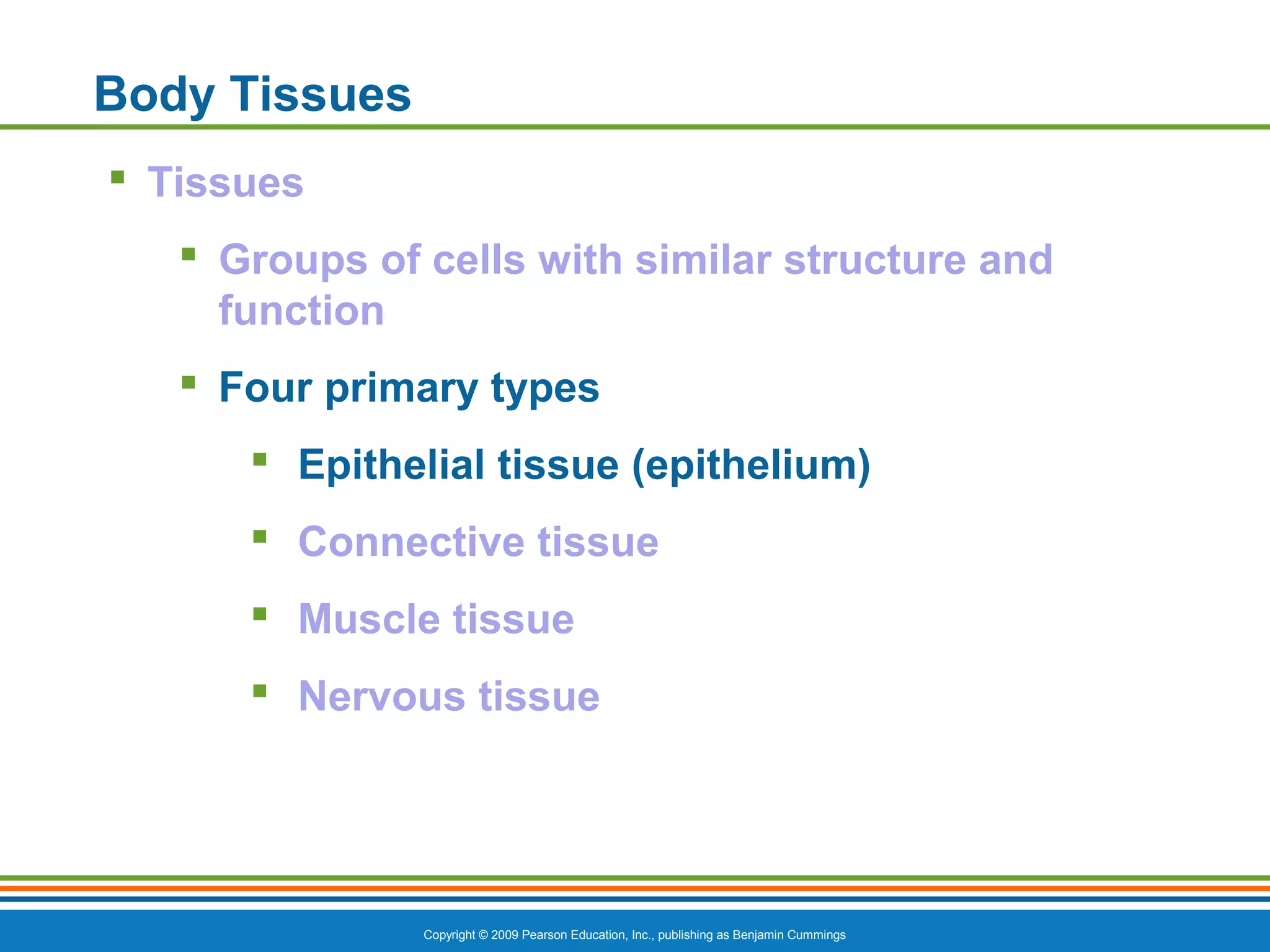 Body tissues 2015 | PPS