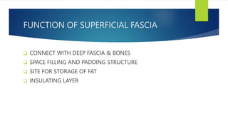 BODY TISSUE & STRUCTURES.pptx