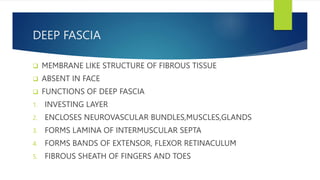 BODY TISSUE & STRUCTURES.pptx