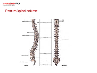 Body types and postural faults | PPT