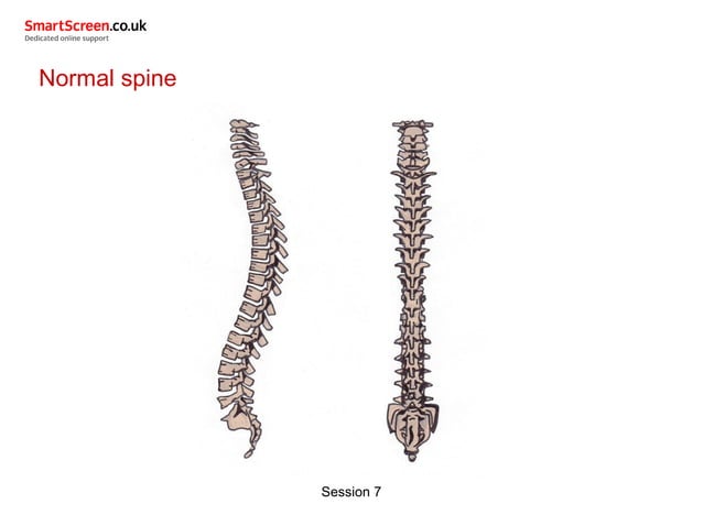 Body types and postural faults | PPT