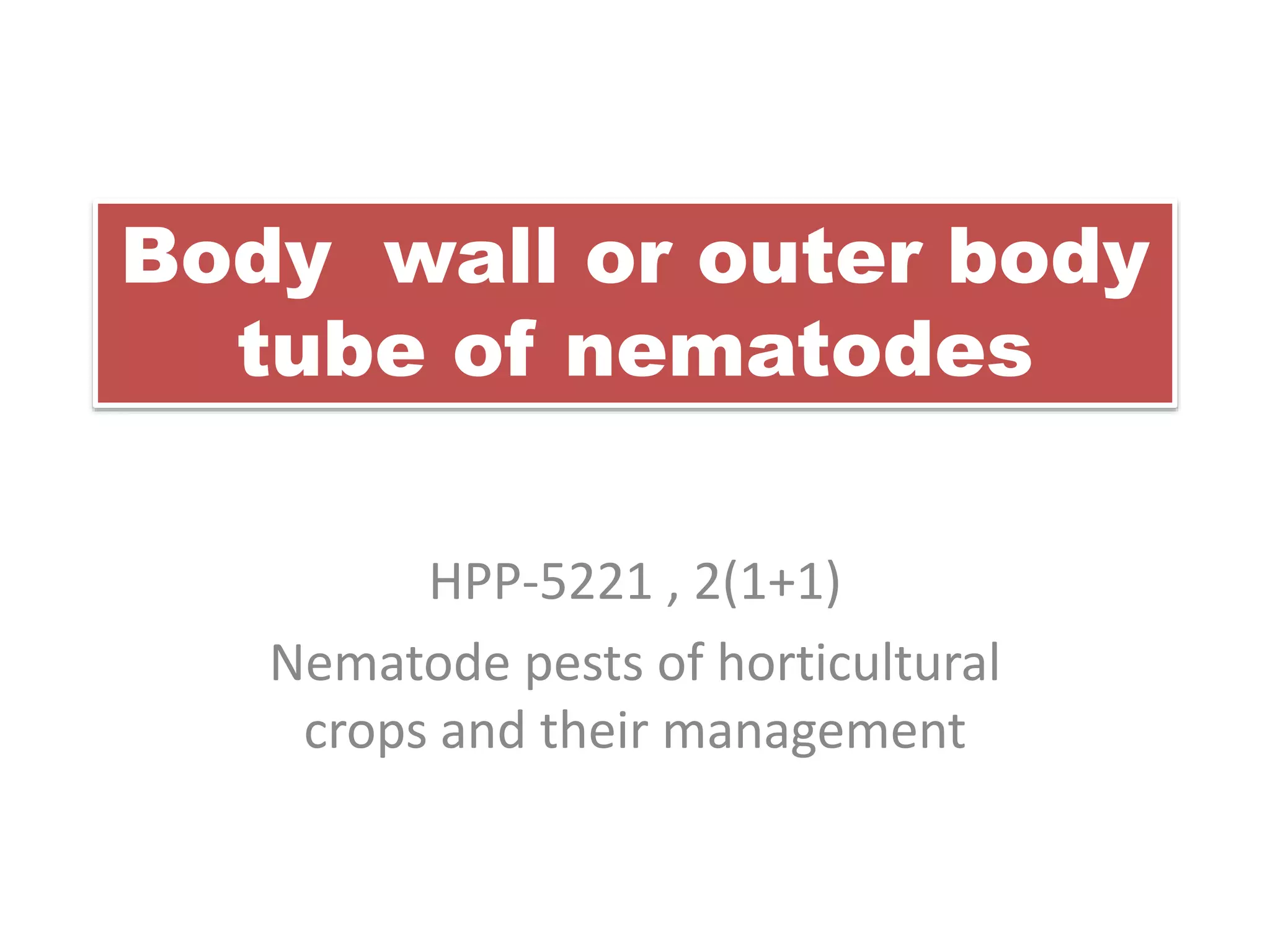 Body wall of nematode | PPTX
