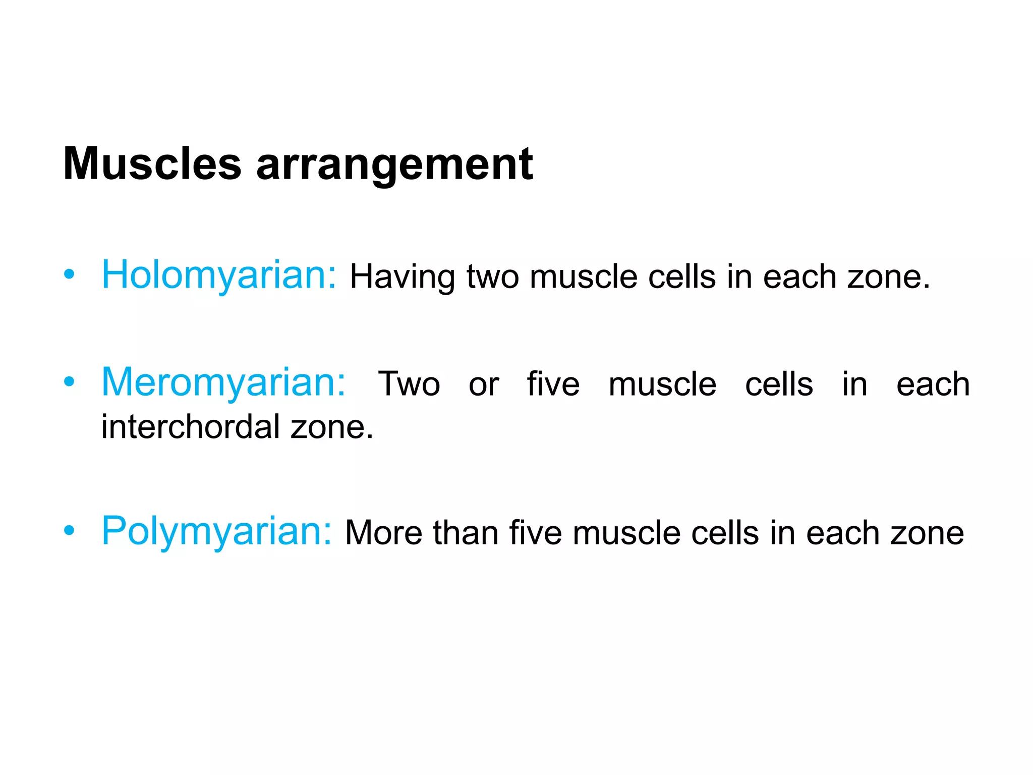 Body wall of nematode | PPTX