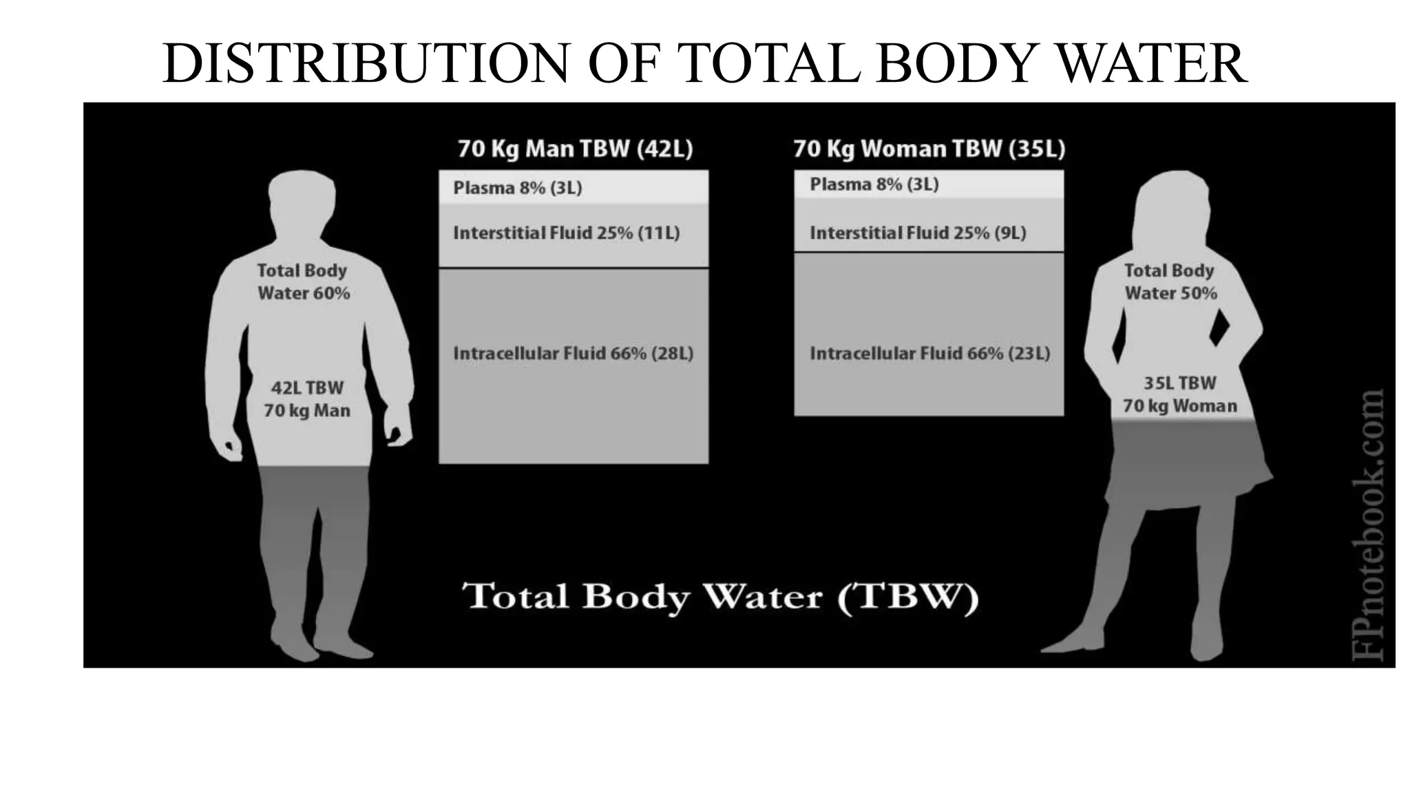 BODY WATER AND BODY FLUIDS physiology of | PPTX