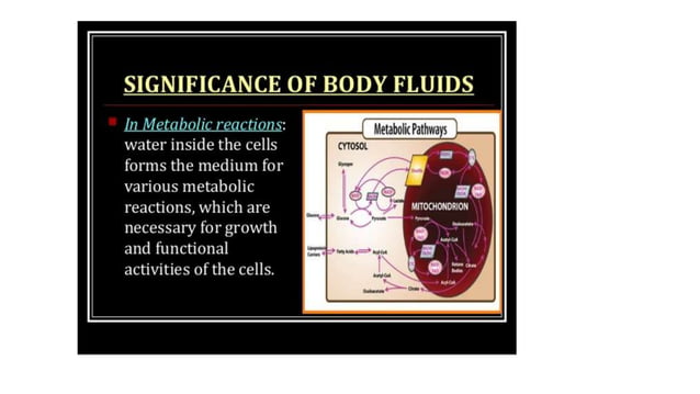 BODY WATER AND BODY FLUIDS physiology of | PPT