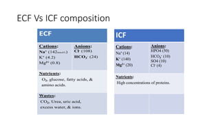 Body water and fluid compartments.pdf
