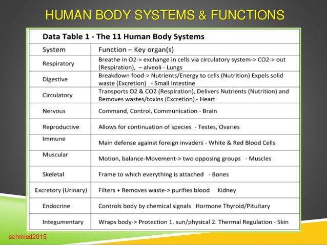 Body works notes
