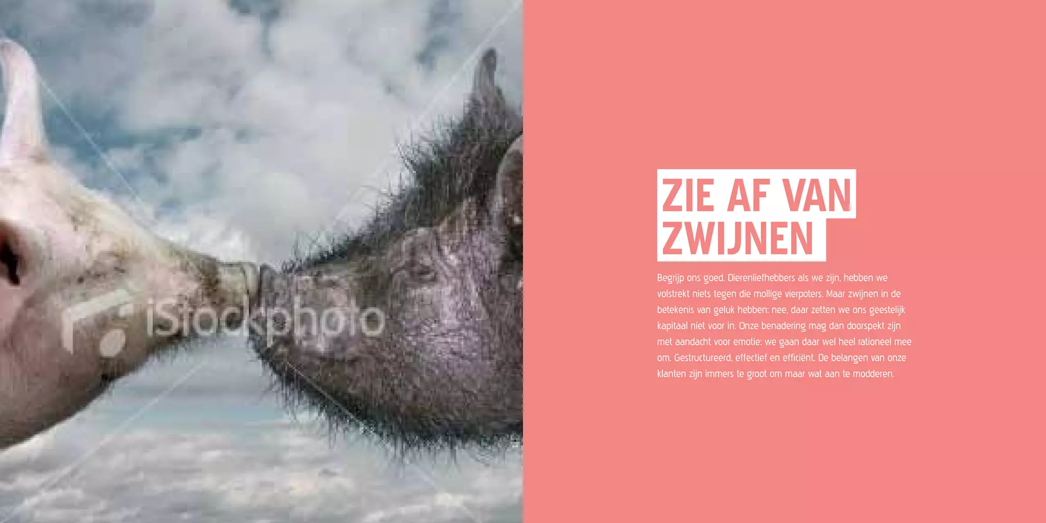 Boekje Raak Me! | PDF