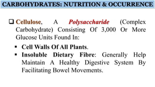 BOE_M1_Carbohydrates.pptx