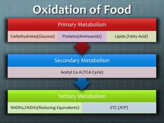 Biological oxidation by Dr.Sohil Takodara | PPTX