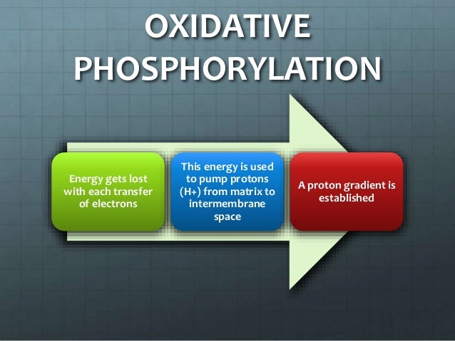 Biological oxidation by Dr.Sohil Takodara