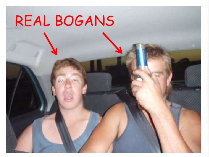 BOGAN INFORMATION2
