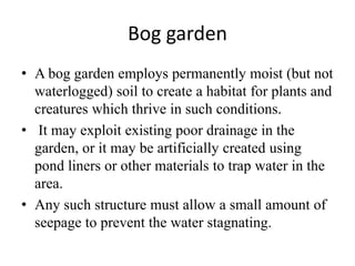 Bog garden | PPTX