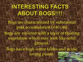 Bogs | PPT