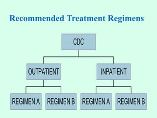 Pelvic Inflammatory Disease Diagram