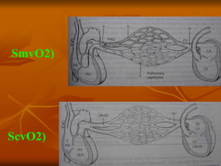 Độ bão hòa oxy máu tĩnh mạch trung tâm - ScvO2 - BS Nguyễn Minh Tiến.ppt