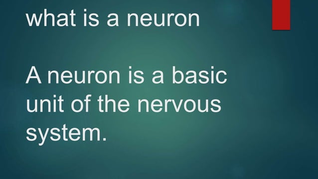 Neurons | PPT