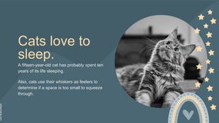 Boho Chic Rainbows · SlidesMania.pptx