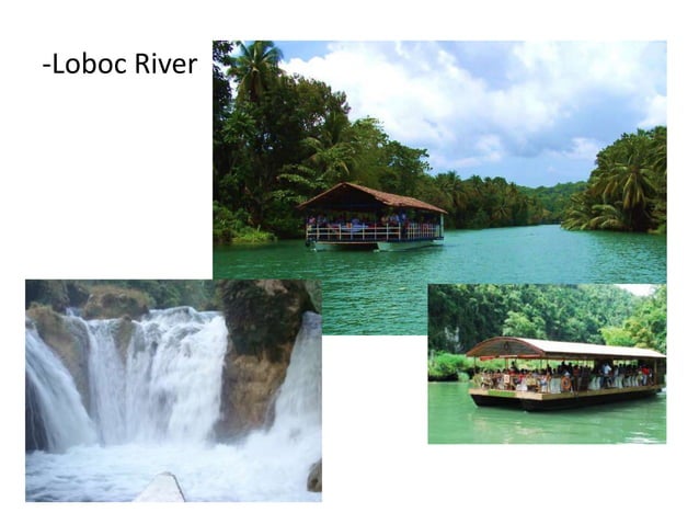 Bohol | PPTX
