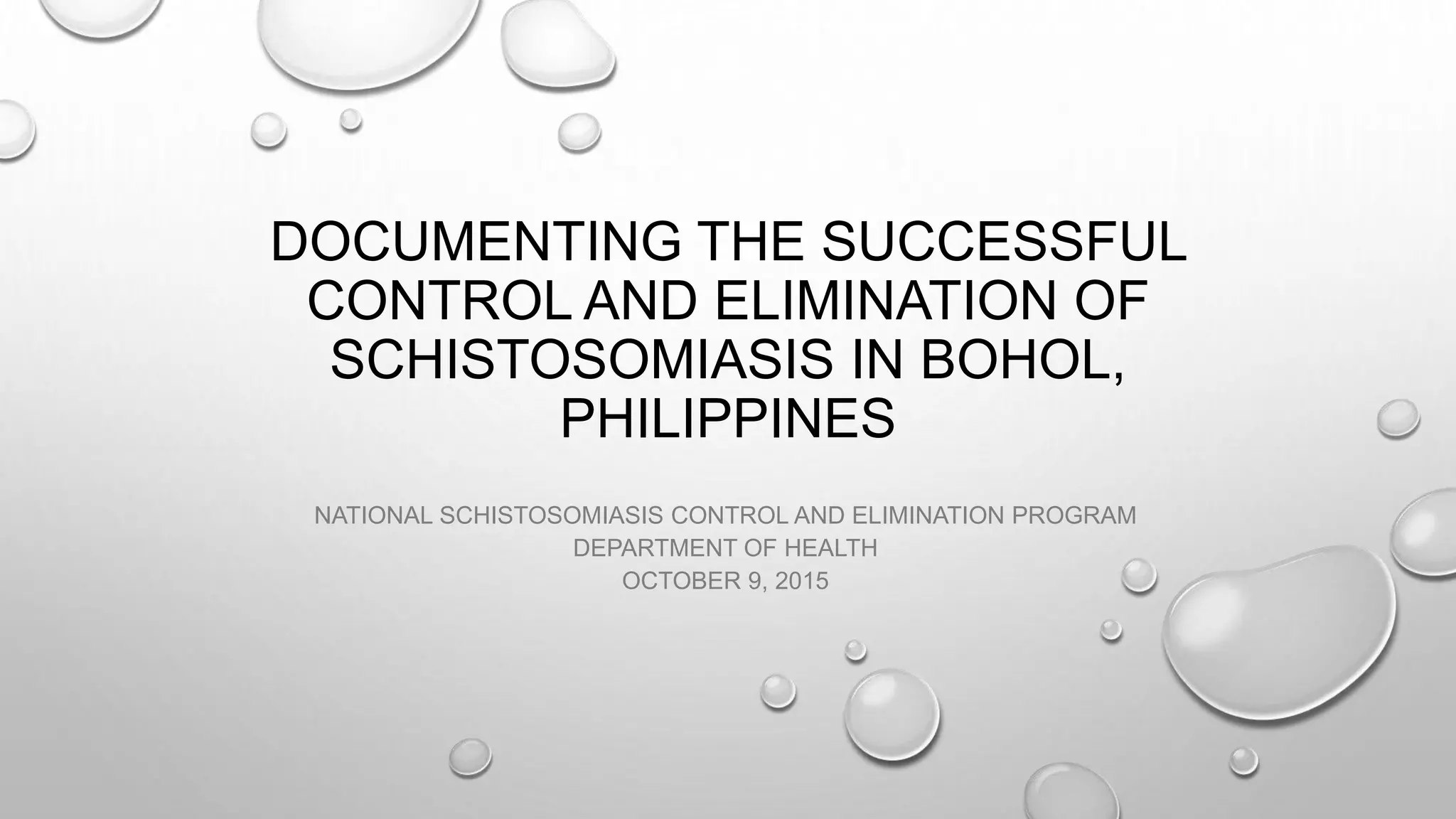 Bohol Project Team Meeting | PPTX