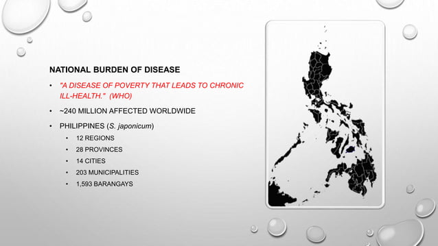 Bohol Project Team Meeting | PPTX