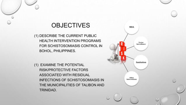 Bohol Project Team Meeting | PPTX