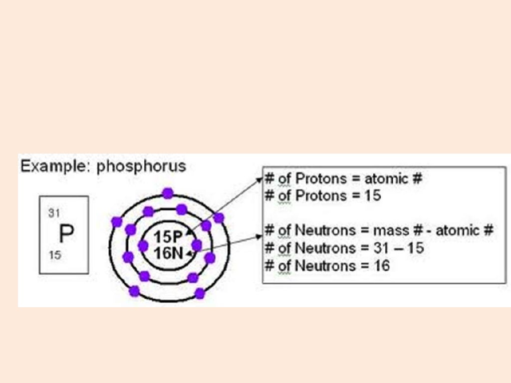 Bohr rutherford diagrams