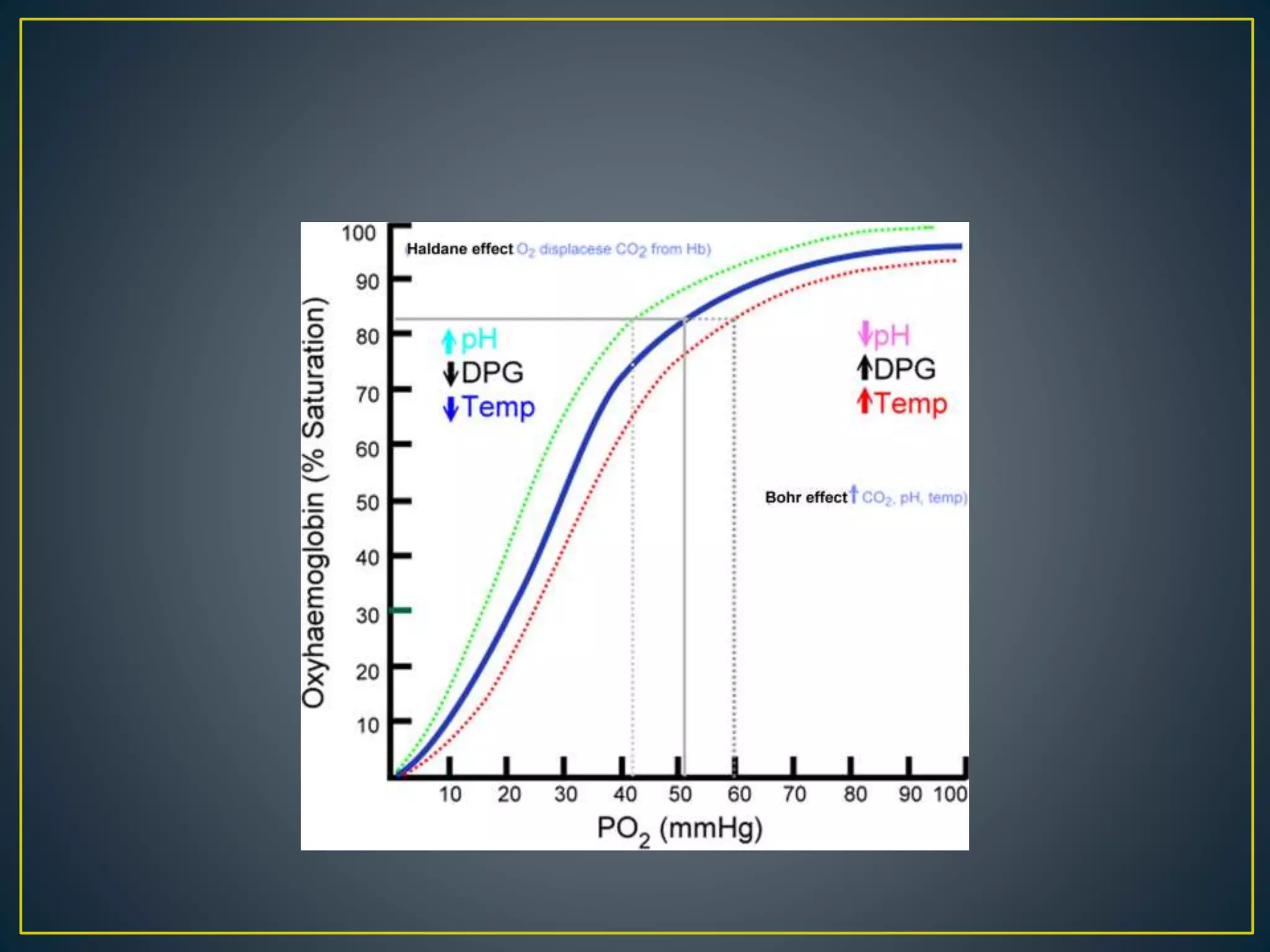 Bohr and haldane effect | PPTX