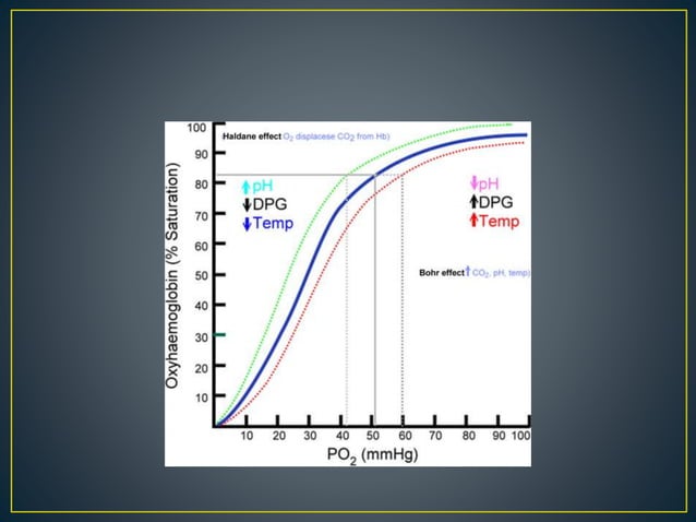 Bohr and haldane effect | PPTX | Blood Disorders | Diseases and Conditions