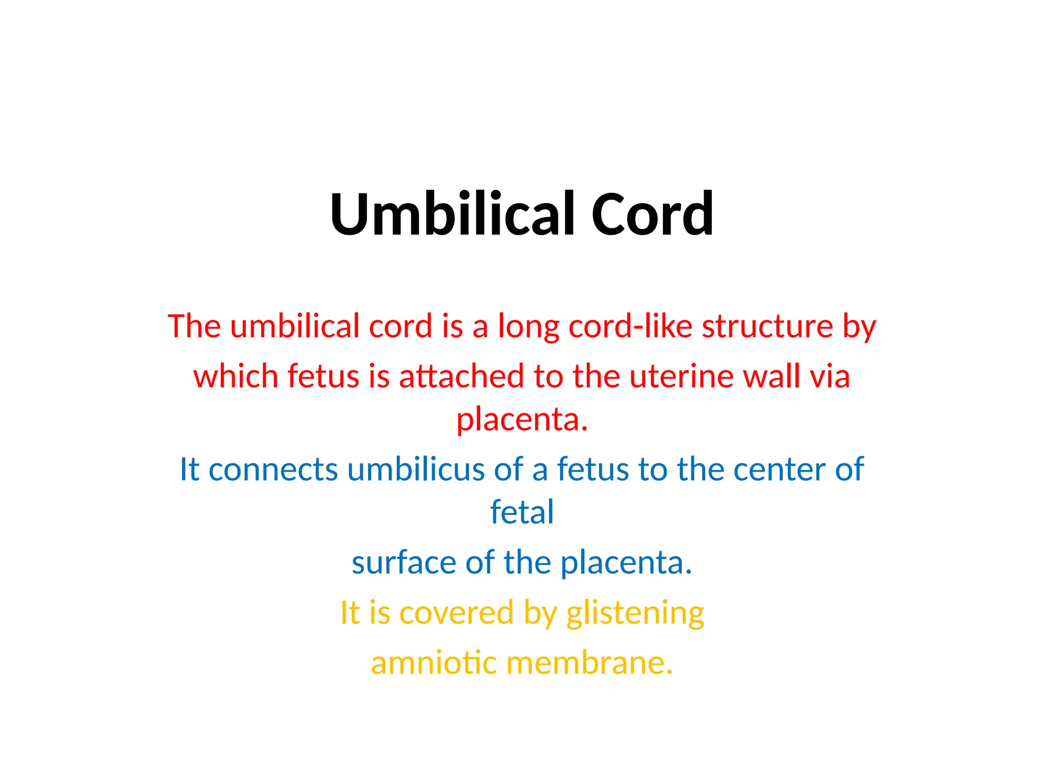 umblical_cord.pptx........................ | PPTX