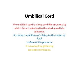 umblical_cord.pptx........................ | PPTX