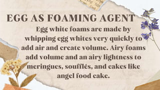 EGG AS FOAM.pptx