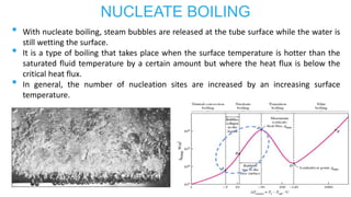 Boiler circulation theory | PPTX