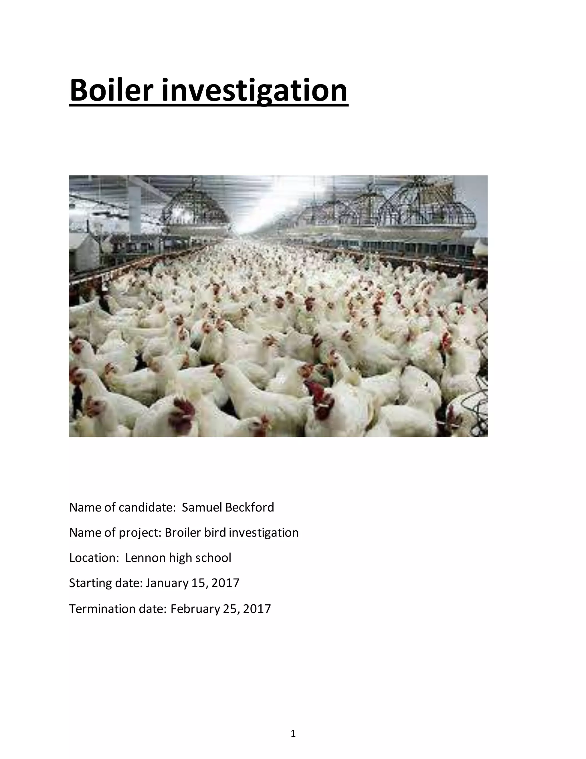 Boiler investigation | DOCX