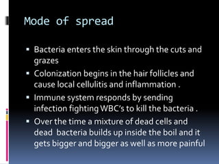 Boils and carbuncles powerpoint | PPTX