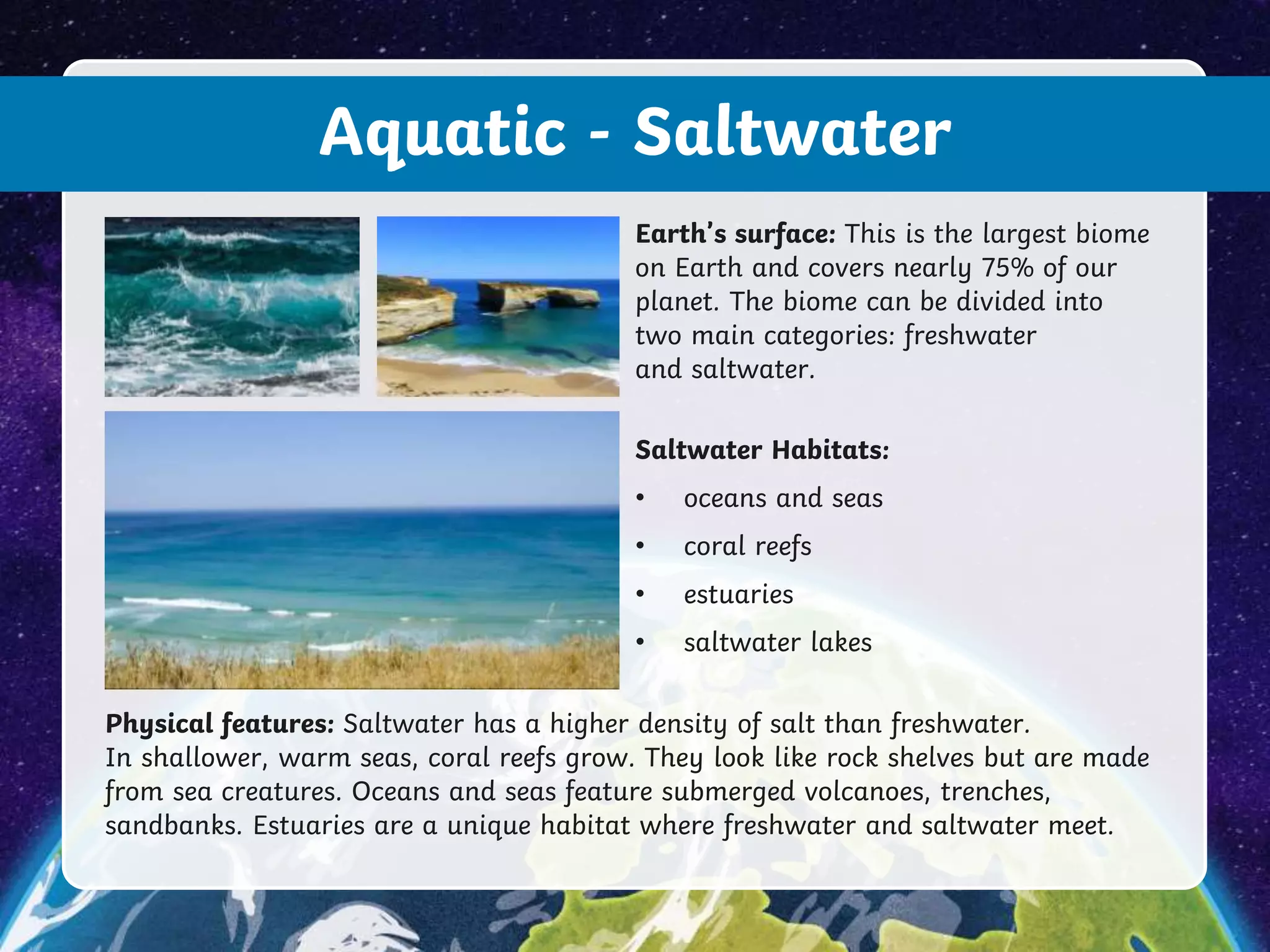 boimes nice ppt.pptx | Reptiles | Pets