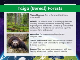 boimes nice ppt.pptx