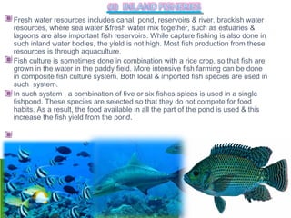 Boiology human husbandary | PPT