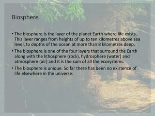 Biosphere and hydrosphere | PPTX