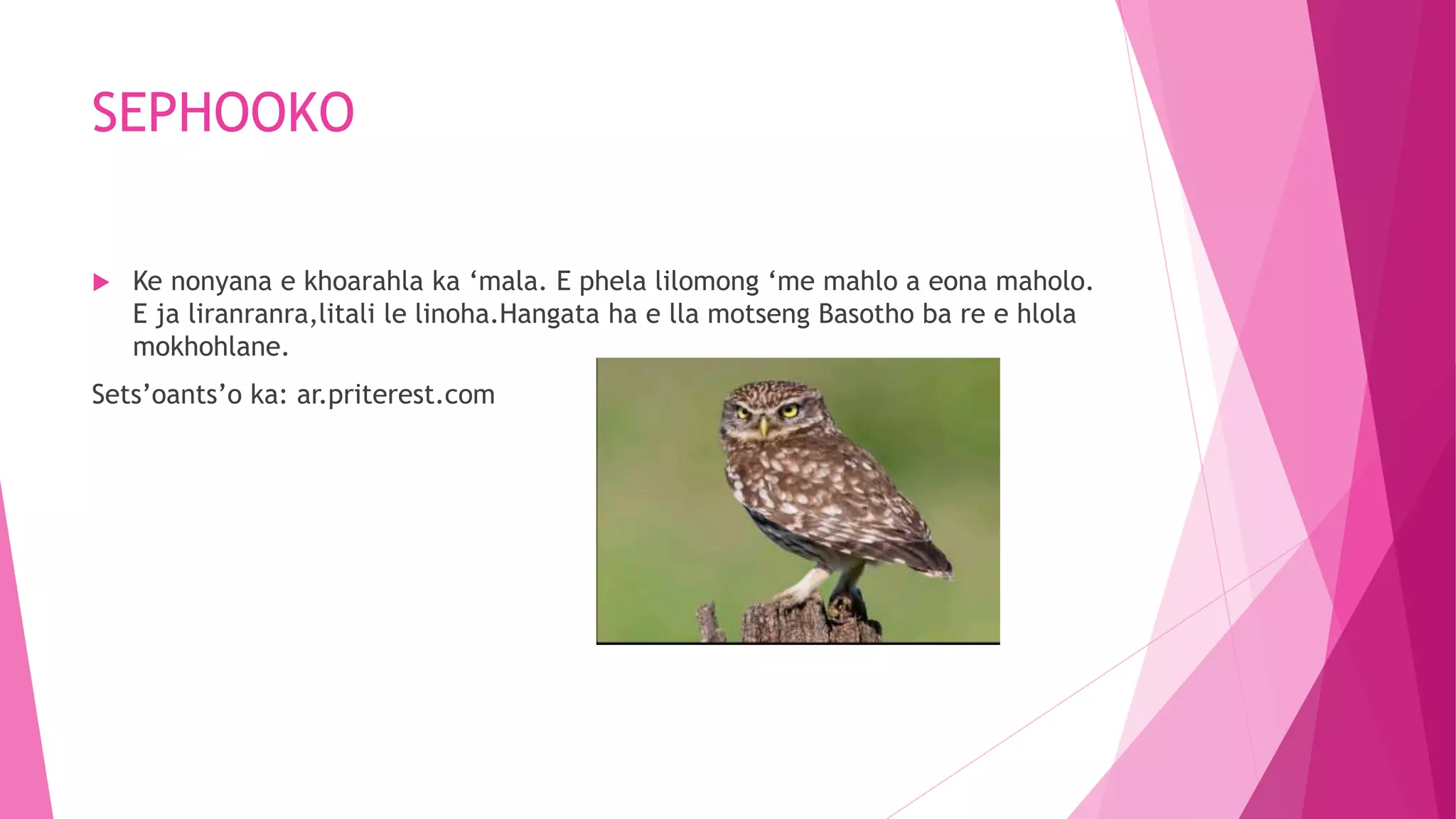 MEFUTA EA LINONYANA by BOITUMELO KHOTSO | PPTX