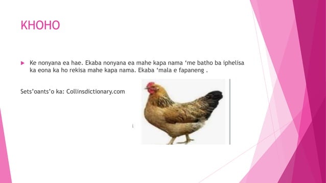 MEFUTA EA LINONYANA by BOITUMELO KHOTSO | PPTX