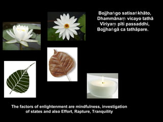 Bojjhaṅga Paritta ( The Seven Factors Of Enlightenment) | PPS