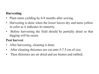 BOJO-ASSIGNMENT (1).pptx